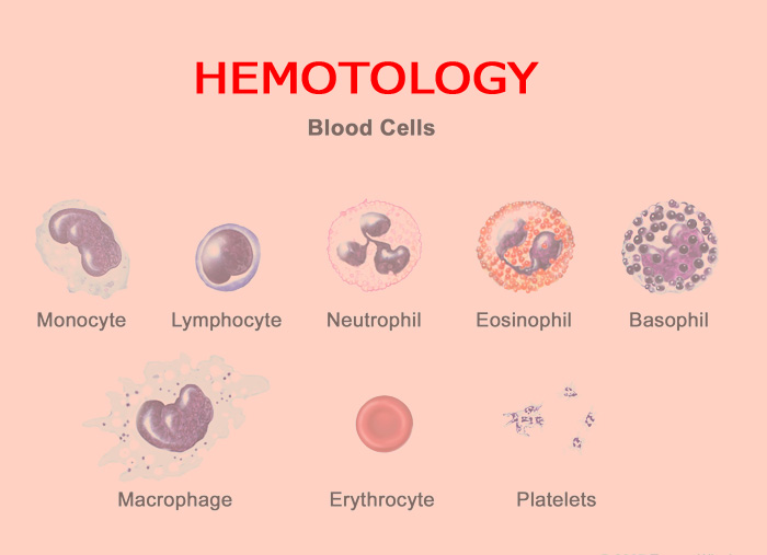 Hematology Focus Dentistry
