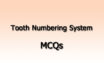 Tooth Numbering System - MCQs - Focus Dentistry